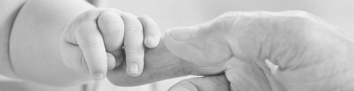 Resurgir para iluminar - PRÓ-VIDA